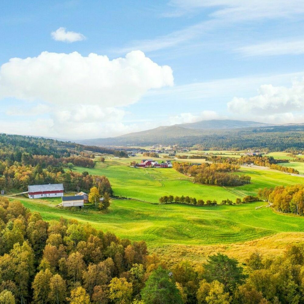 Bauta Group | Tjenester